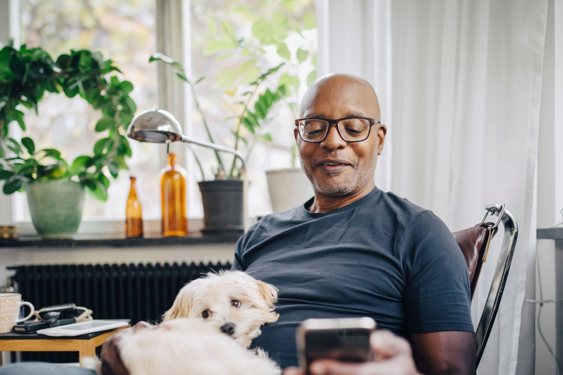 NORM - Your normal. Back